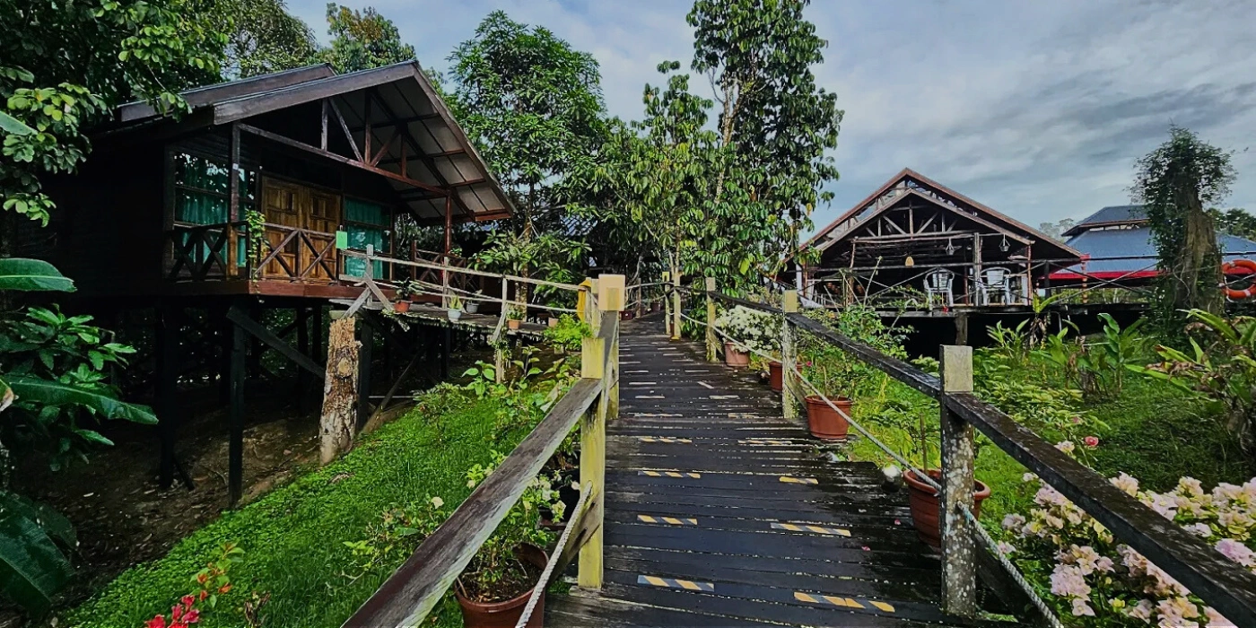 Where To Stay In Sepilok: Best & Cozy Lodges, Resorts & Budget ...