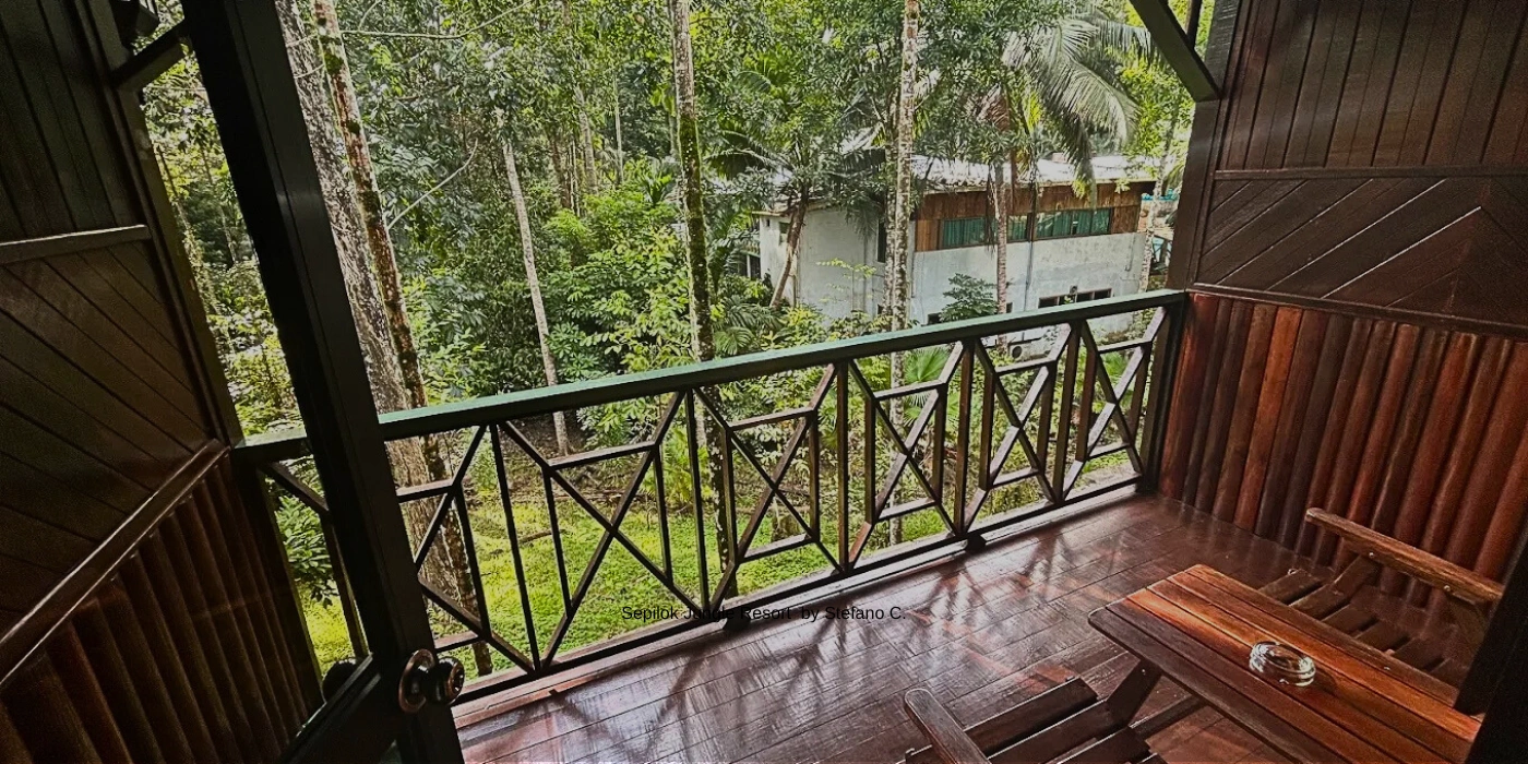 Where To Stay In Sepilok: Best & Cozy Lodges, Resorts & Budget ...